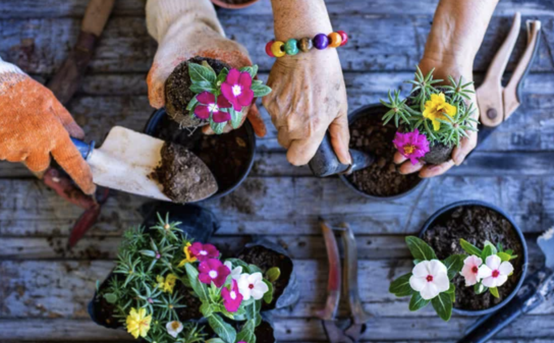 Potting Sheds 101: 8 Things to Know - Backyard Outfitters